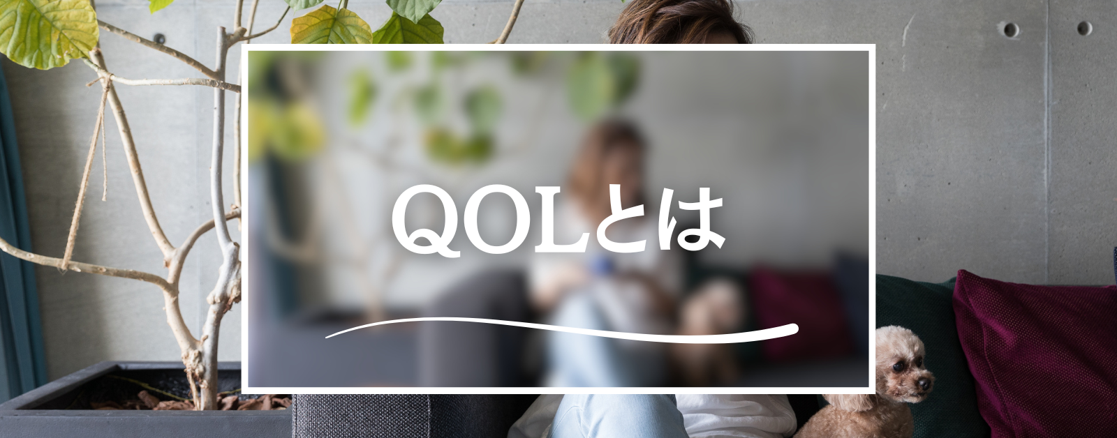QOL（クオリティ・オブ・ライフ）とは？意味や評価方法をわかりやすく解説 | 理想の暮らしナビ