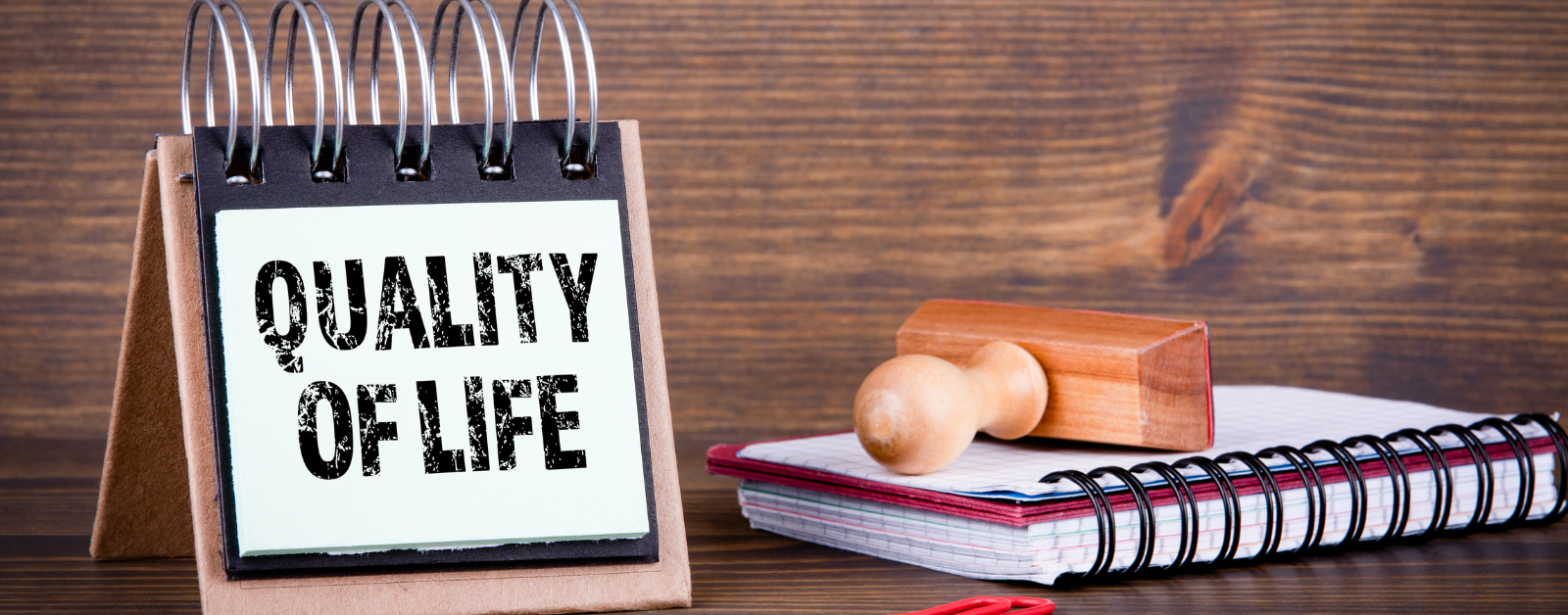 QOLに影響を与える5つの要素を解説！この5つを意識するだけで、毎日が劇的に変わる！ | 理想の暮らしナビ